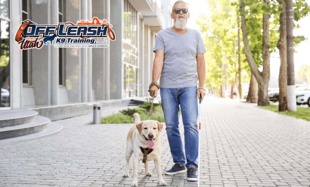 7 Powerful Facts About the First Guide Dog at Christmas